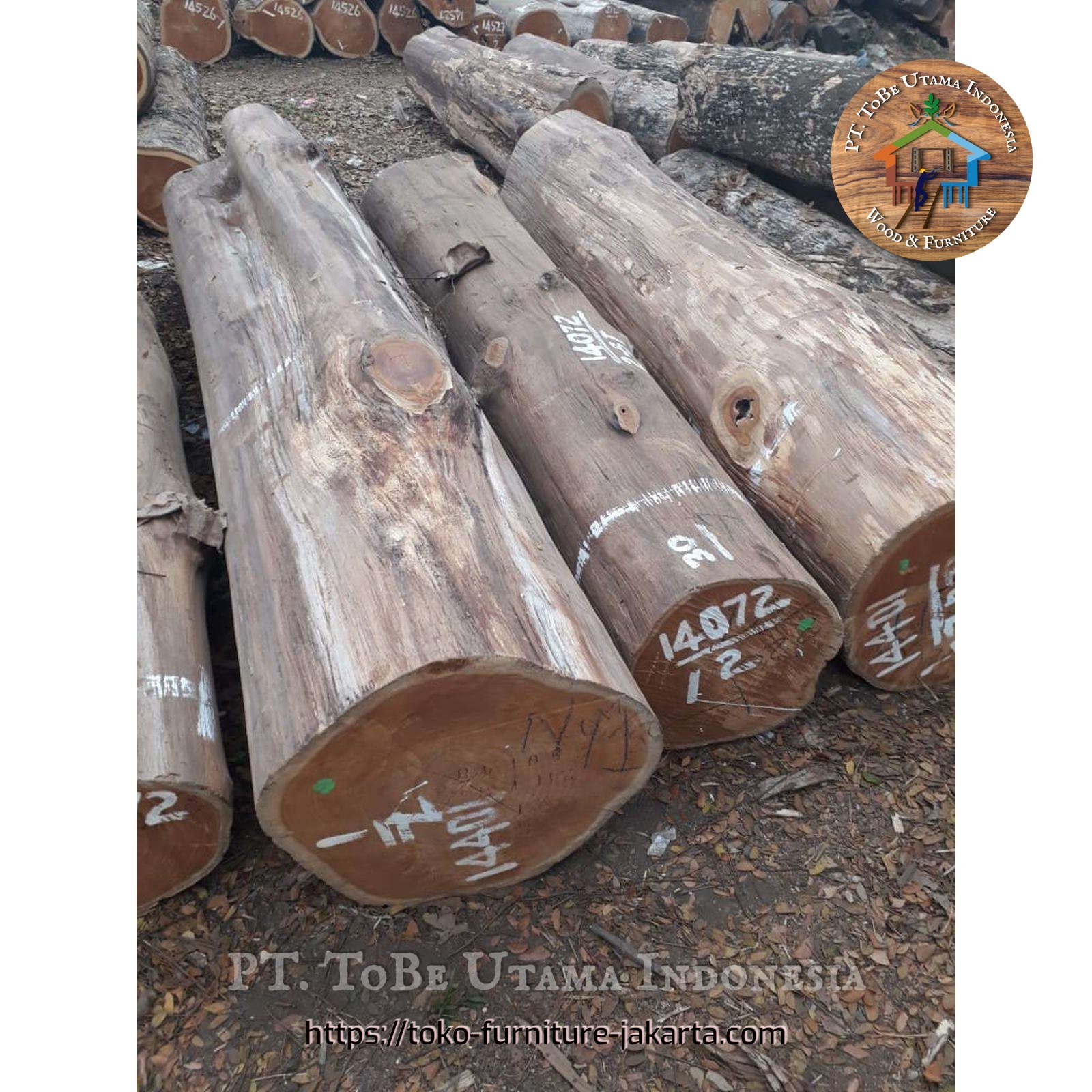 Kayu Jati Log untuk Industri Mebel dan Bahan Bangunan
