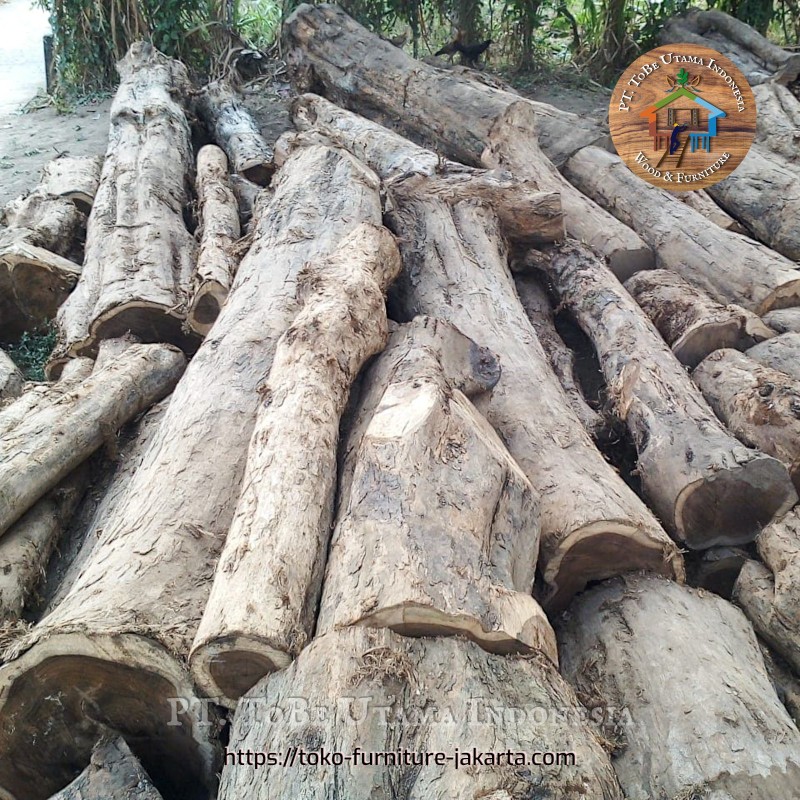 Rosewood Sonokeling for Luxury Interior