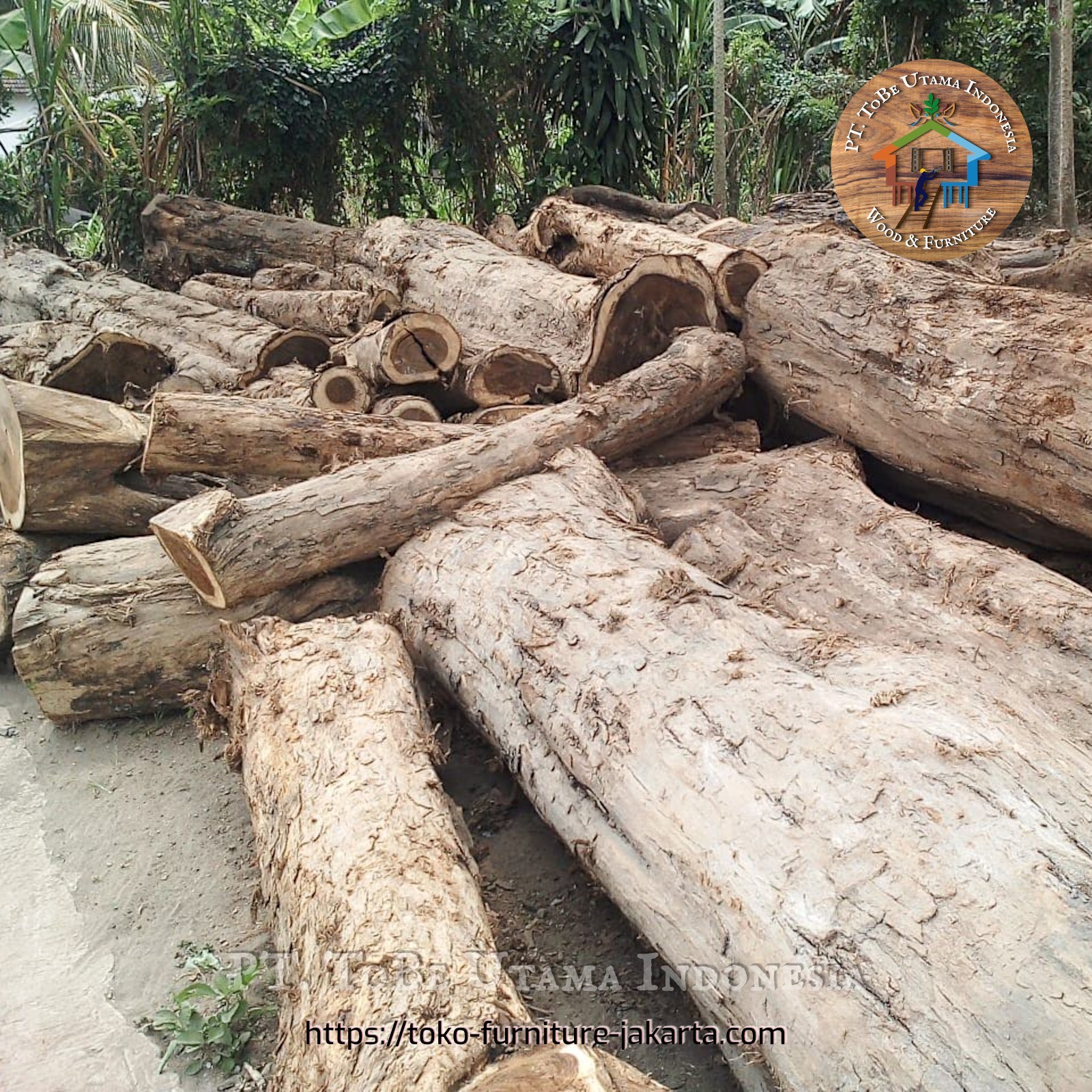 Rosewood Sonokeling for Luxury Interior