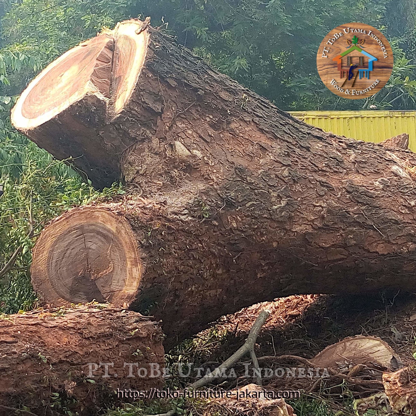 Trembesi Wood Slabs for Dining Table and Kitchen Island Table
