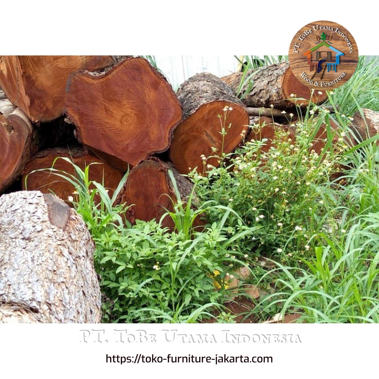 Mahogany Wood for Building Materials and Furniture